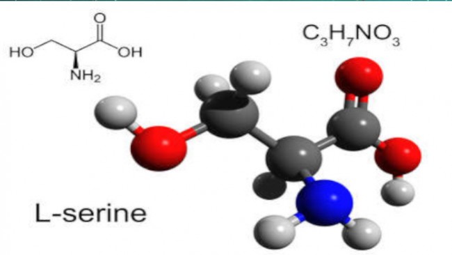 Para que sirve la L-Serina